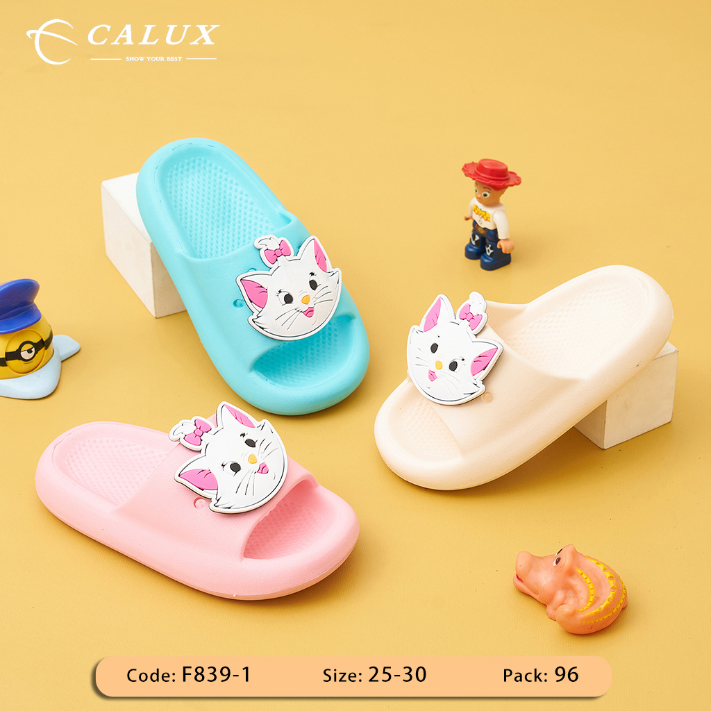 New Products – CALUX