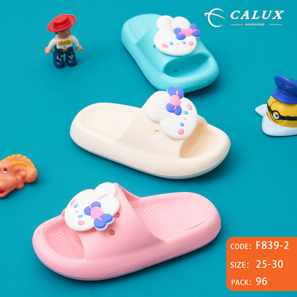 New Products – CALUX