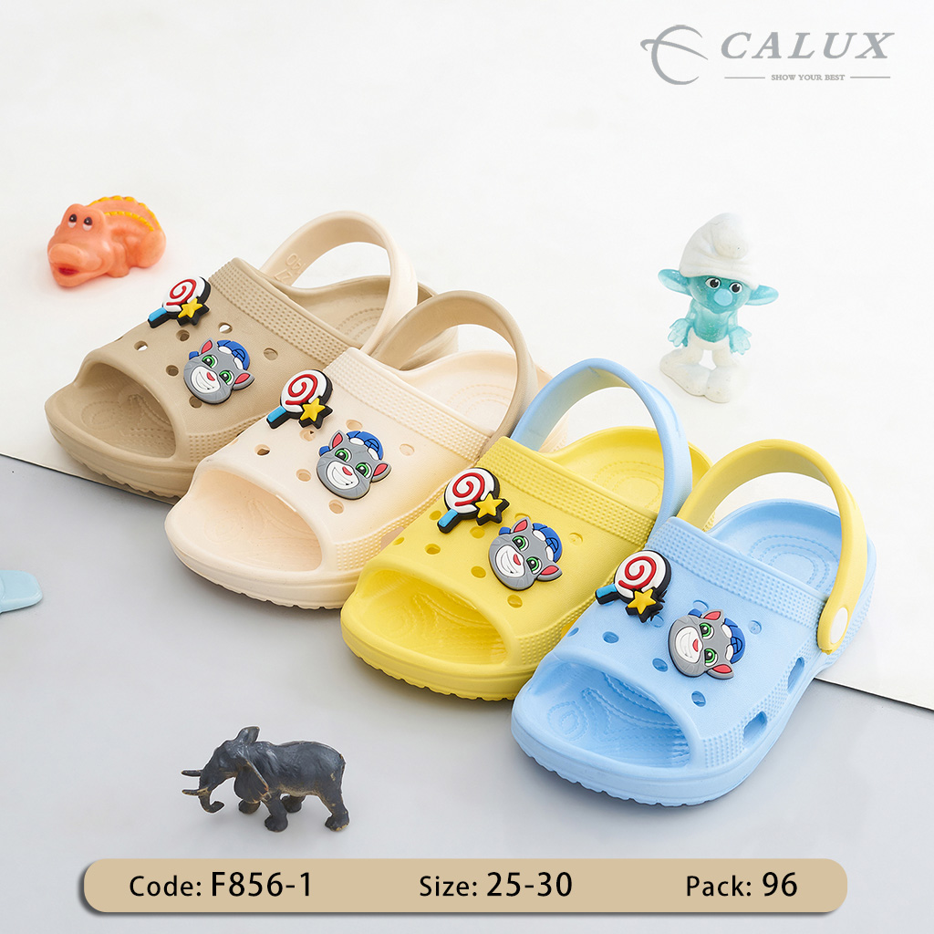 New Products – CALUX