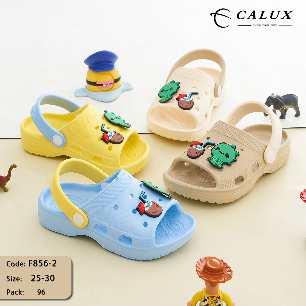 New Products – CALUX